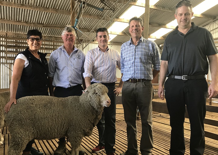 International interest in Australian Polwarth wool