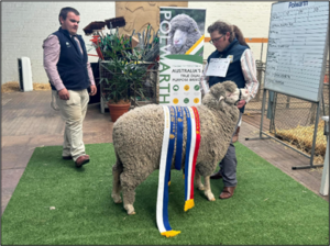 2024 Royal Adelaide Show Results